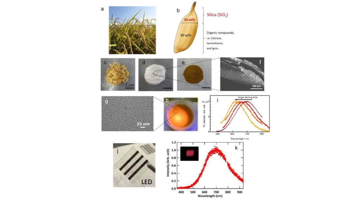 Future TVs may feature Quantum Dots made from rice | What Hi-Fi?