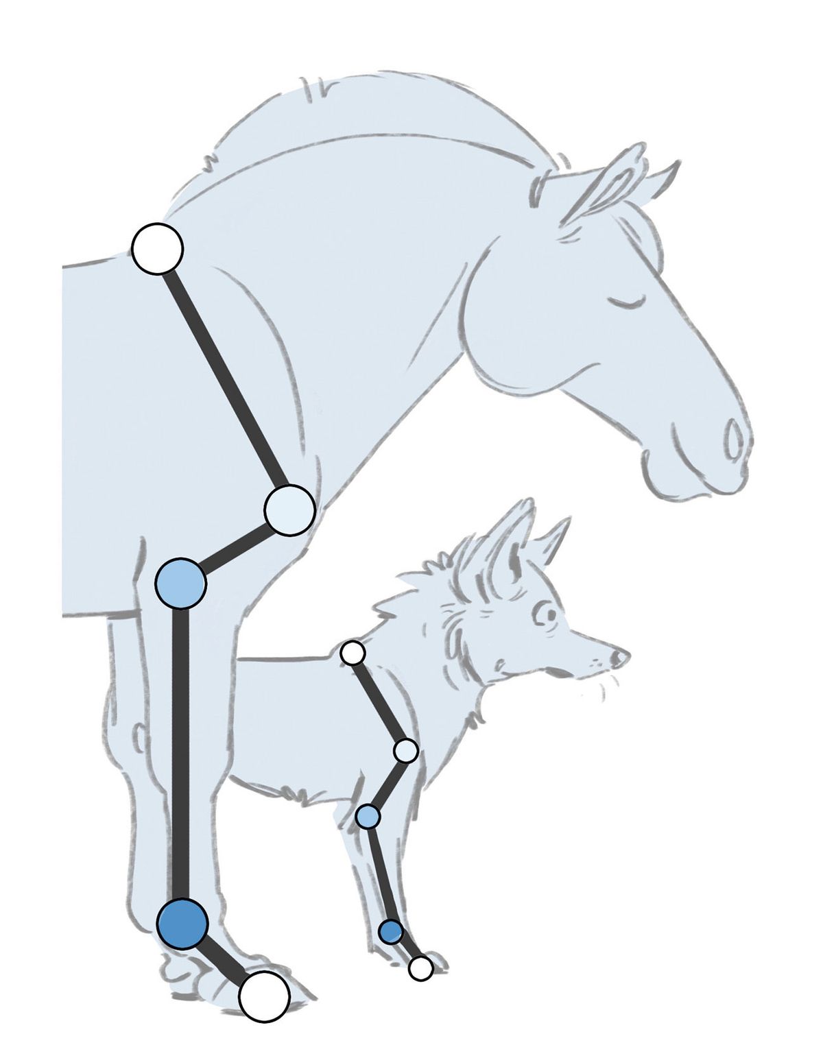 15 tips for creating characterful creature art | Creative Bloq