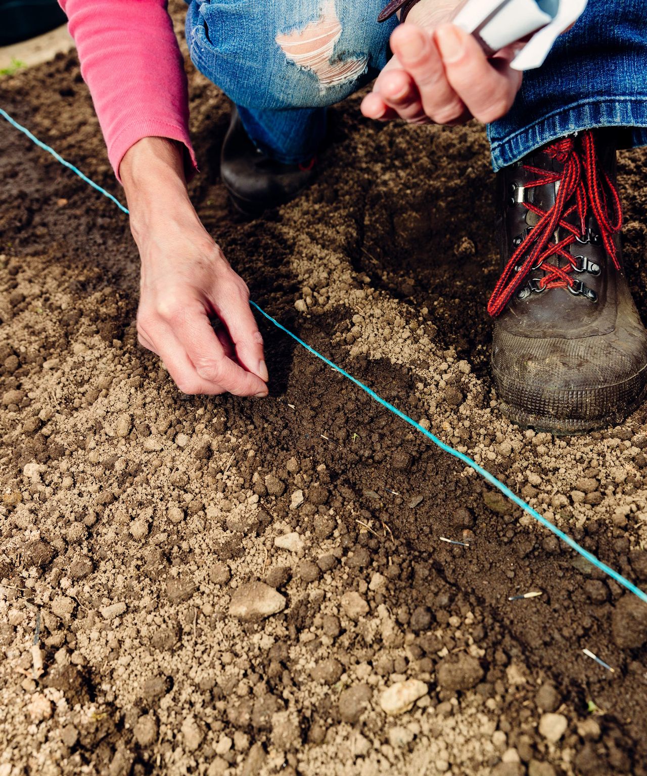 How to sow seeds outdoors: tips from an experienced gardener | Homes ...