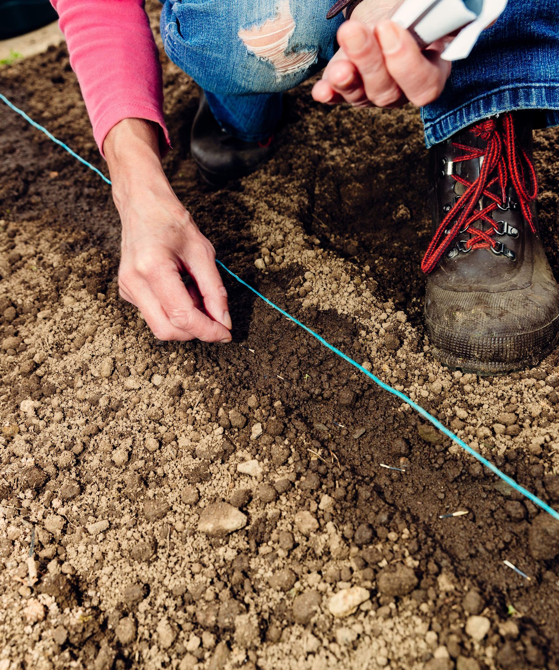 How to sow seeds outdoors: tips from an experienced gardener | Homes ...