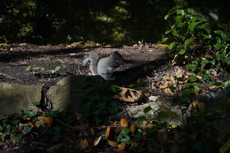 Sony A7C review | Digital Camera World