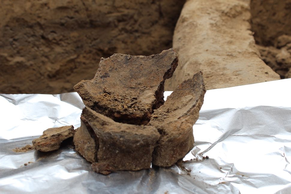 8,000-Year-Old Jars Are the Earliest Evidence of Winemaking | Live Science