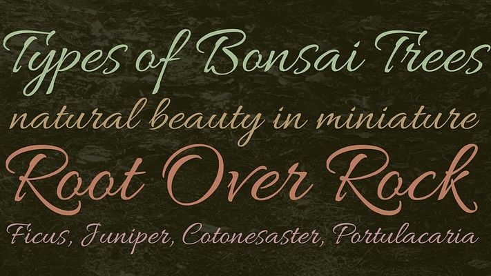 The best handwriting fonts | Creative Bloq