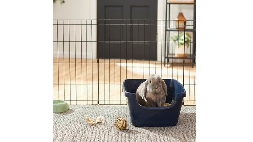 Best rabbit litter box: Keep your pet and your home clean | PetsRadar