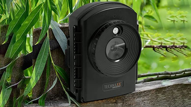 The best timelapse cameras | Digital Camera World