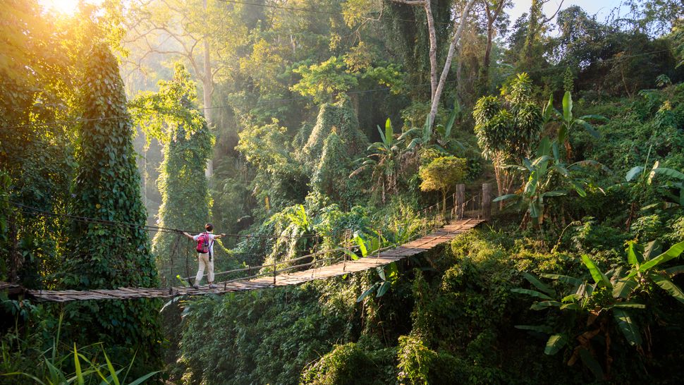 Hiking in the jungle: prepare for the adventure of a lifetime | Advnture
