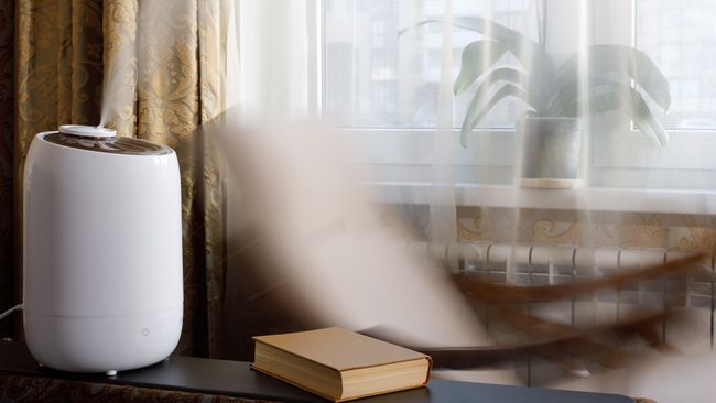 Dehumidifier vs humidifier: Which is best for your home? | Live Science