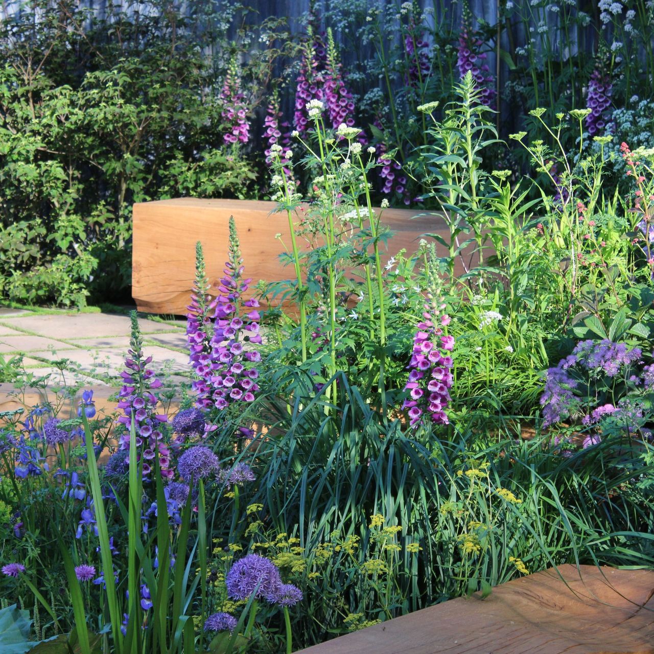 How to grow foxgloves from seed or from plug plants | Ideal Home