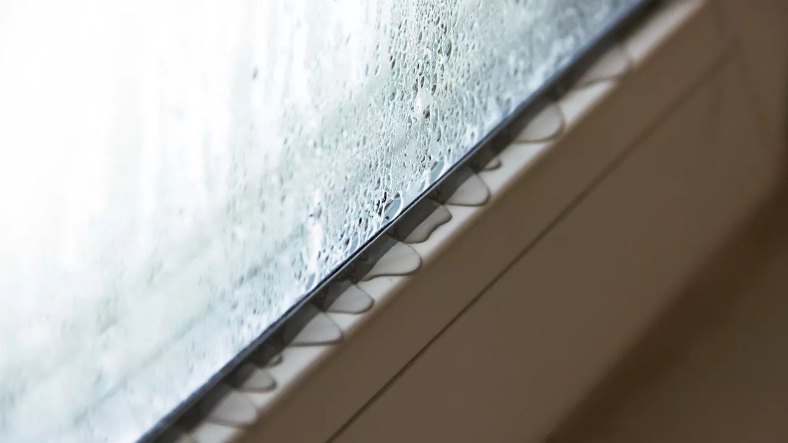 How to stop condensation on windows – 11 expert ways | Real Homes