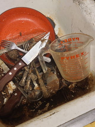 Asmongold's self-improvement kick sees him clean biohazard kitchen ...