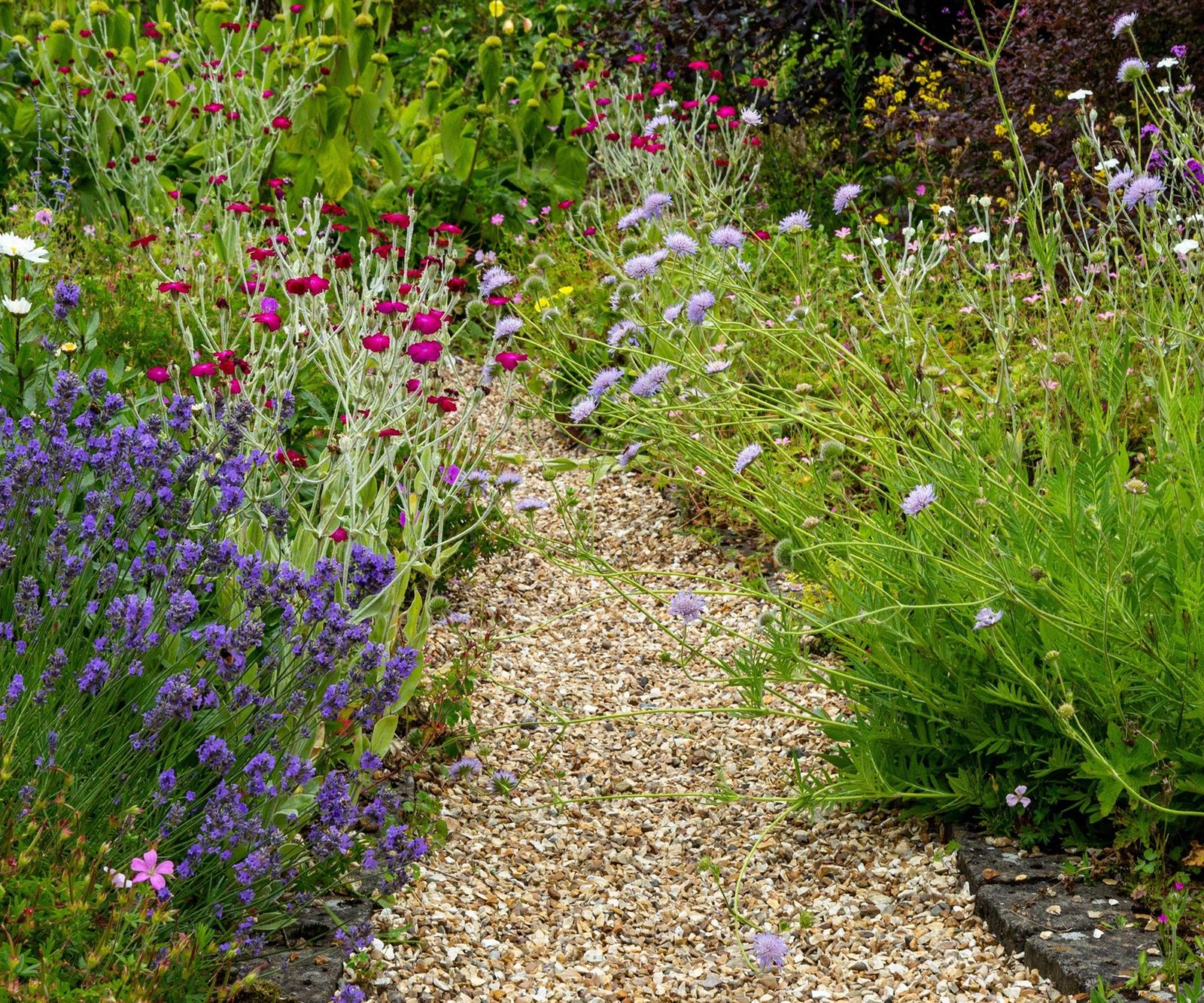 How to create a French provincial garden: expert design tips | Homes ...