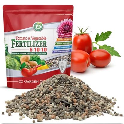 An expert guide to fertilizing carrots: when and how to feed | Homes ...