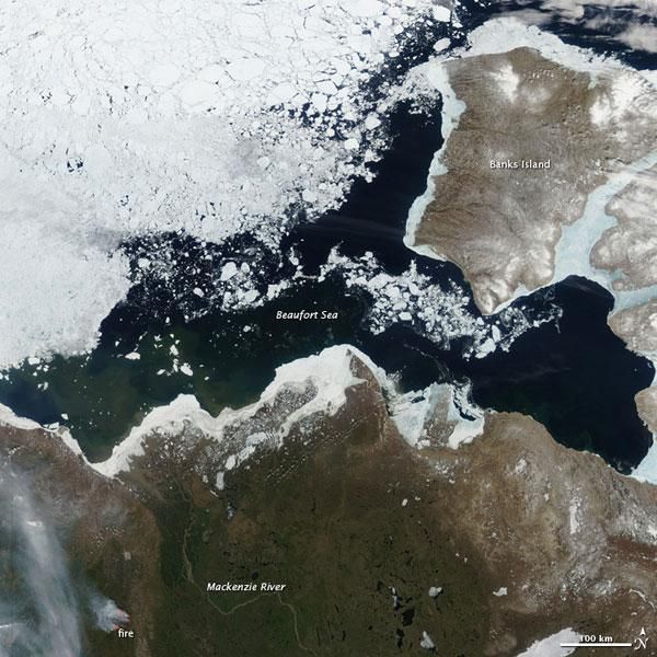 Signs That Spring Has Sprung | Earth's Seasons | Live Science