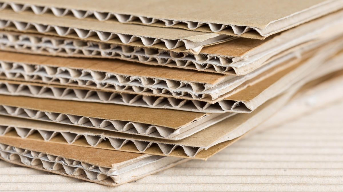 How to get rid of termites in your home | Tom's Guide