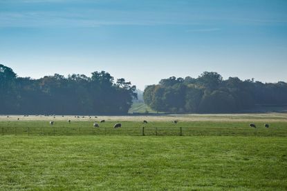 Wood Hall: A beautiful Norfolk estate that's been in the same family ...