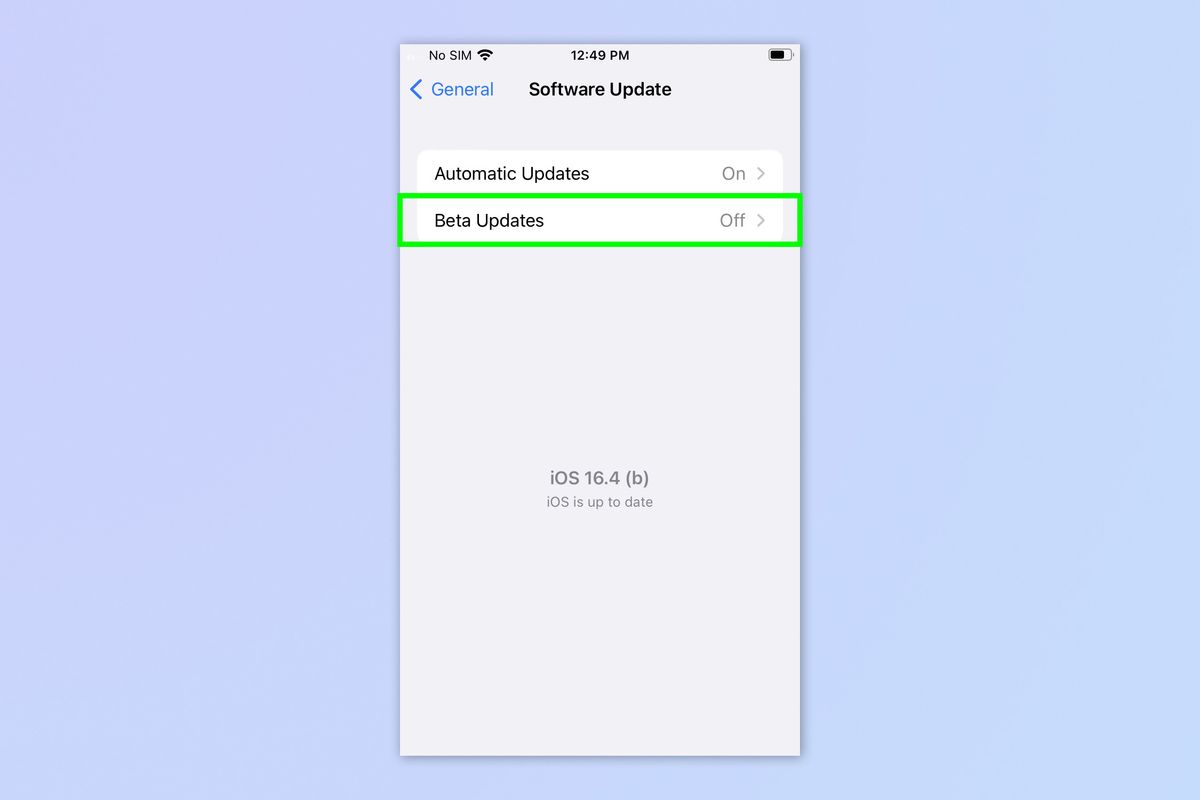 How to enable Beta updates on iPhone and iPad | Tom's Guide