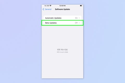 How to enable Beta updates on iPhone and iPad | Tom's Guide