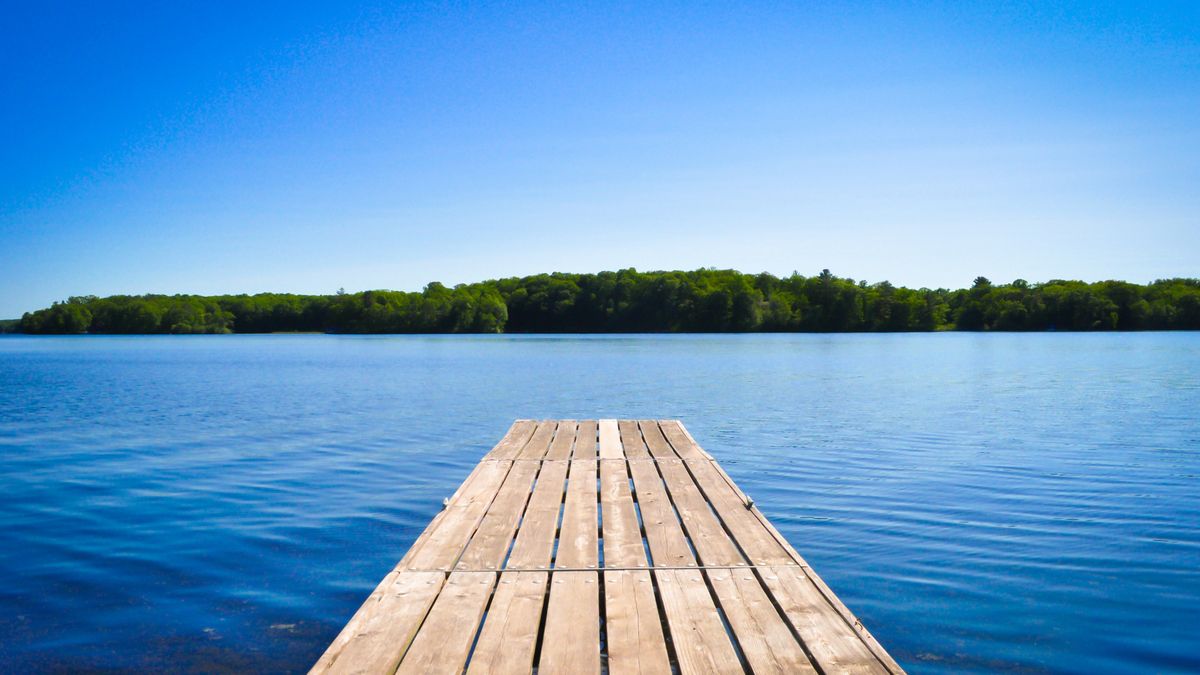 Divers recover wedding photographer’s camera after plunge into lake ...