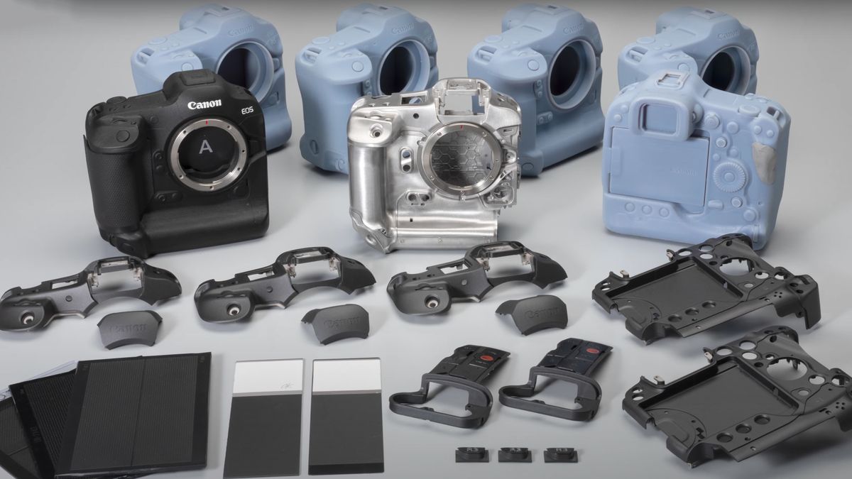 The Canon EOS R3 is the F1 car of mirrorless cameras, but it’s still in ...