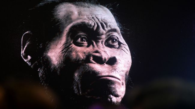 'No scientific evidence' that ancient human relative buried dead and ...