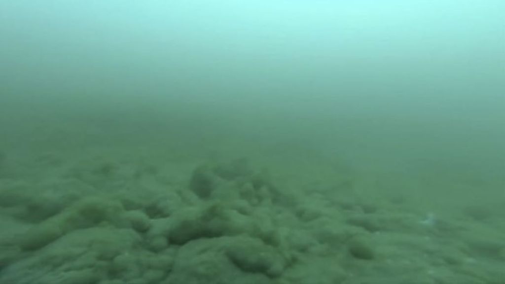 Scientists peered into a secret Antarctic lake hidden beneath the ice — and uncovered a never ...