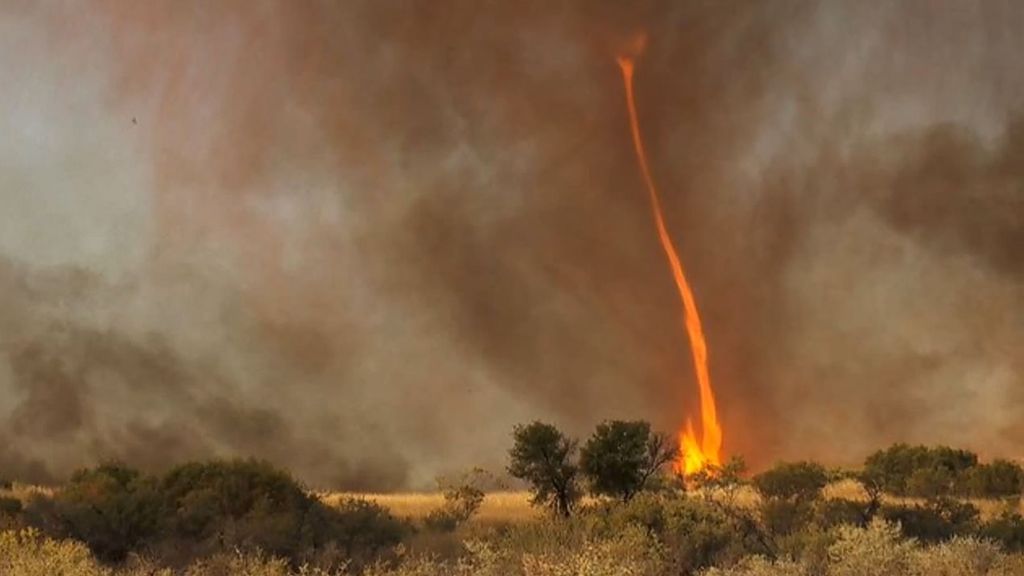 Whirling Flames: How Fire Tornadoes Work | Live Science