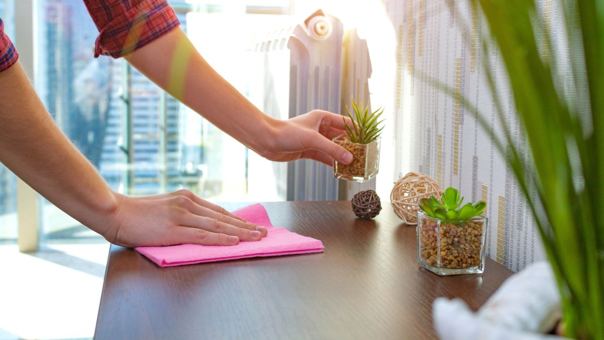 Mold vs. dust: How to tell the difference and remove both from your ...