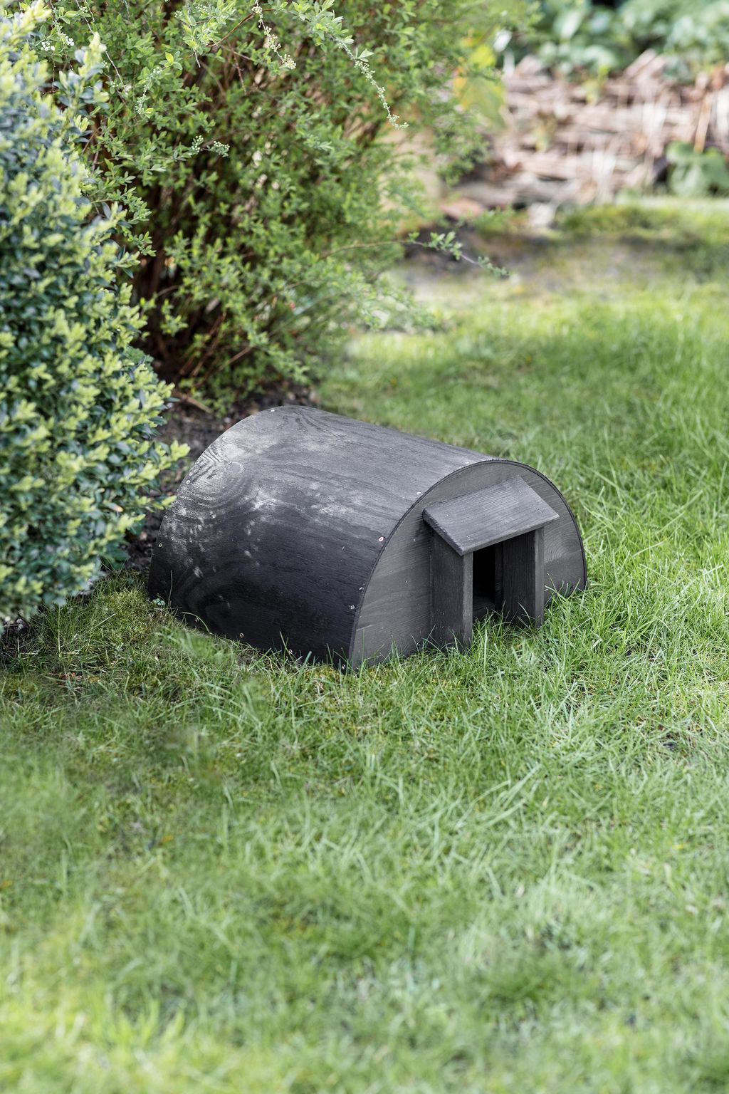 Hedgehog houses: an essential guide | Homes and Gardens