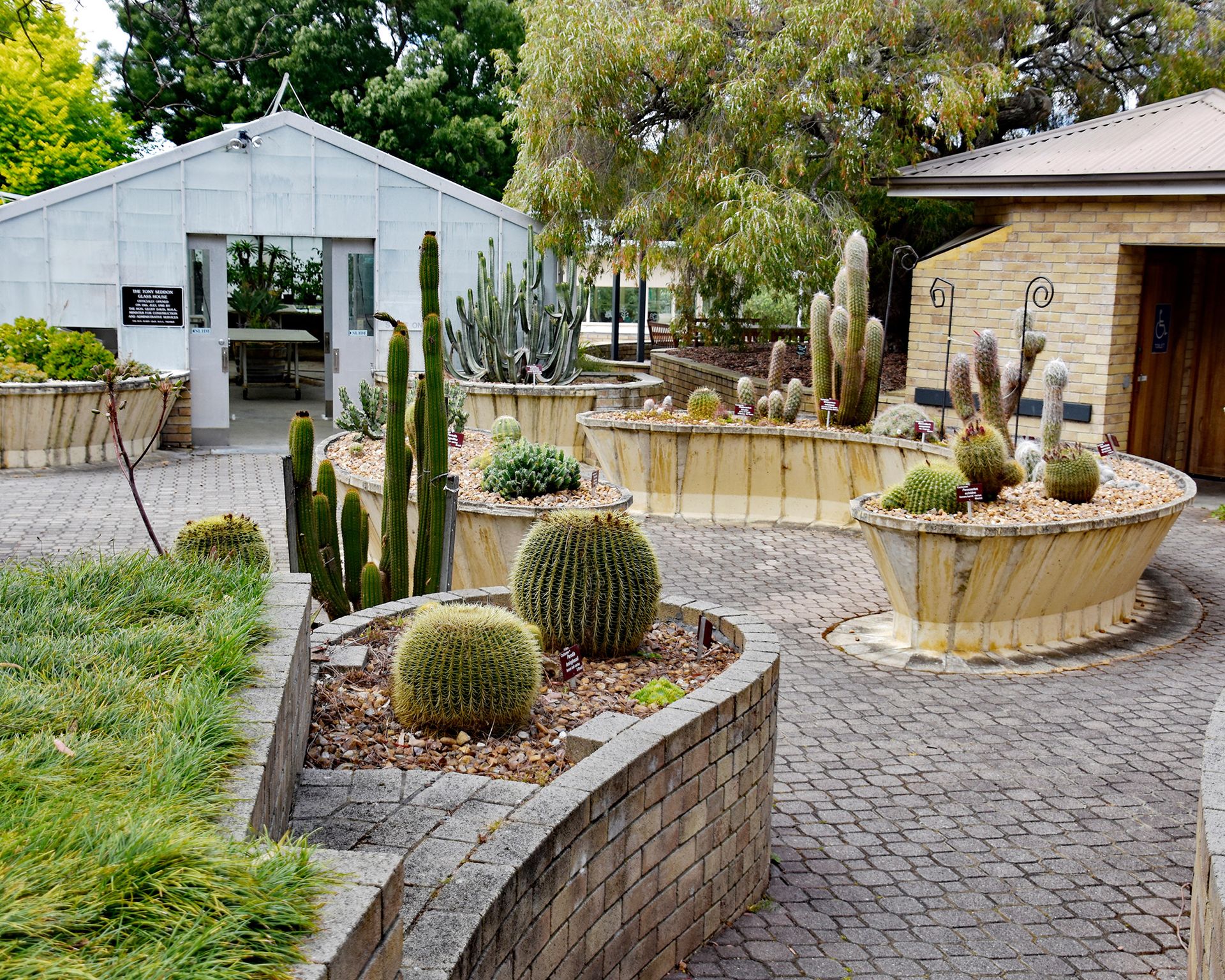 Landscaping with cactus: 9 ways to add color and structure | Gardeningetc