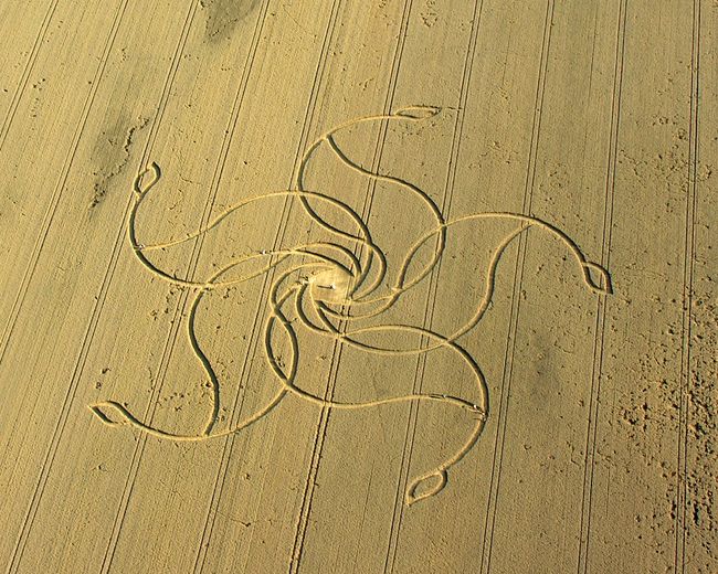 In Photos: Mysterious Crop Circles | Live Science