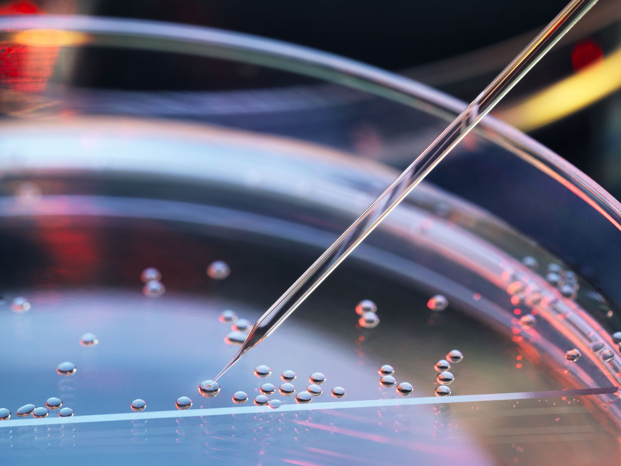 Researchers say they created first synthetic human embryo model | The Week