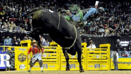 Get Fit or Get Bucked: How Fit Is a Bull Rider? | Coach