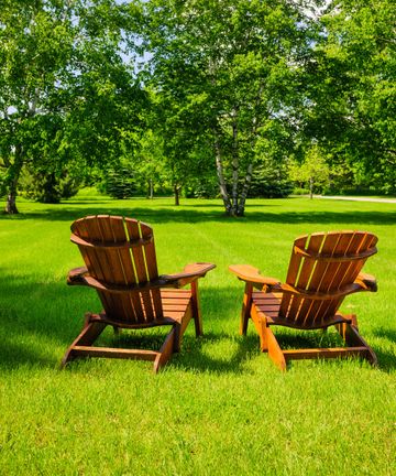 Best grass for full sun: 10 top choices | Homes and Gardens