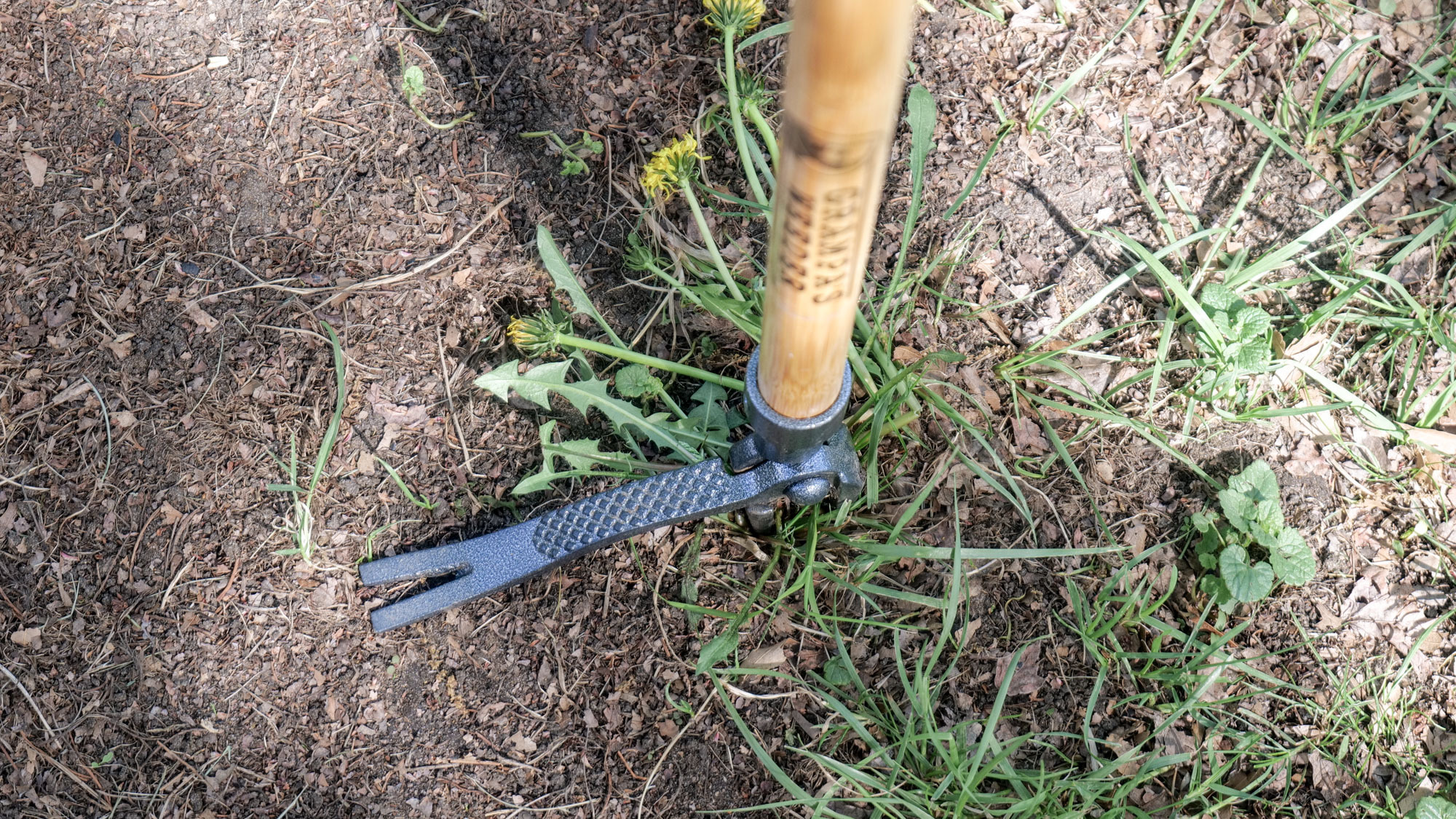5 tools I swear by to take the strain out of gardening