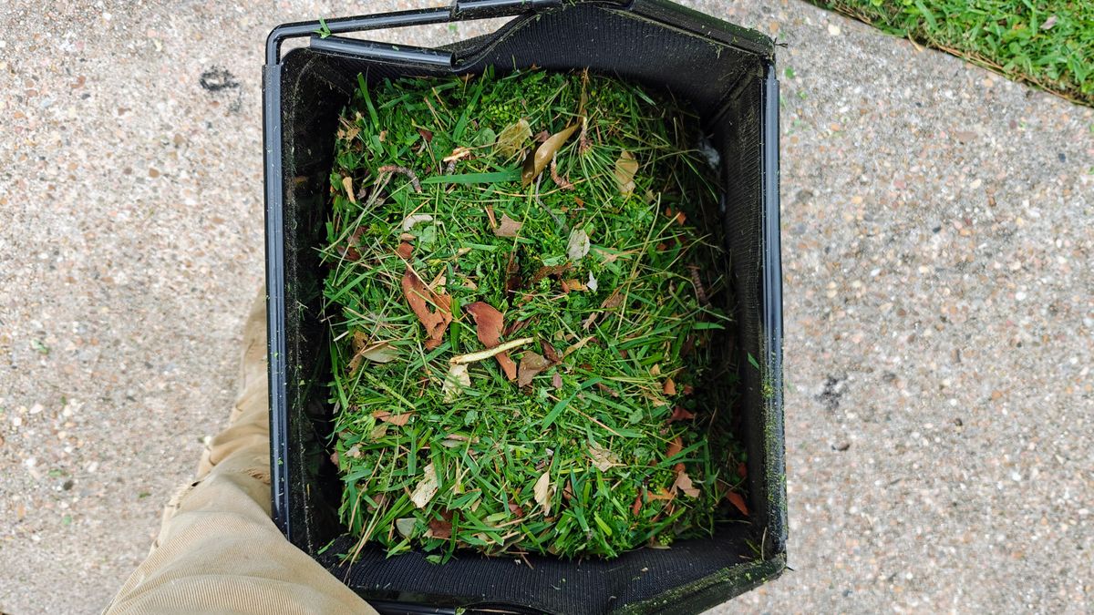 Dewalt DCMWP600X2 60V MAX Cordless Push Mower review | Top Ten Reviews