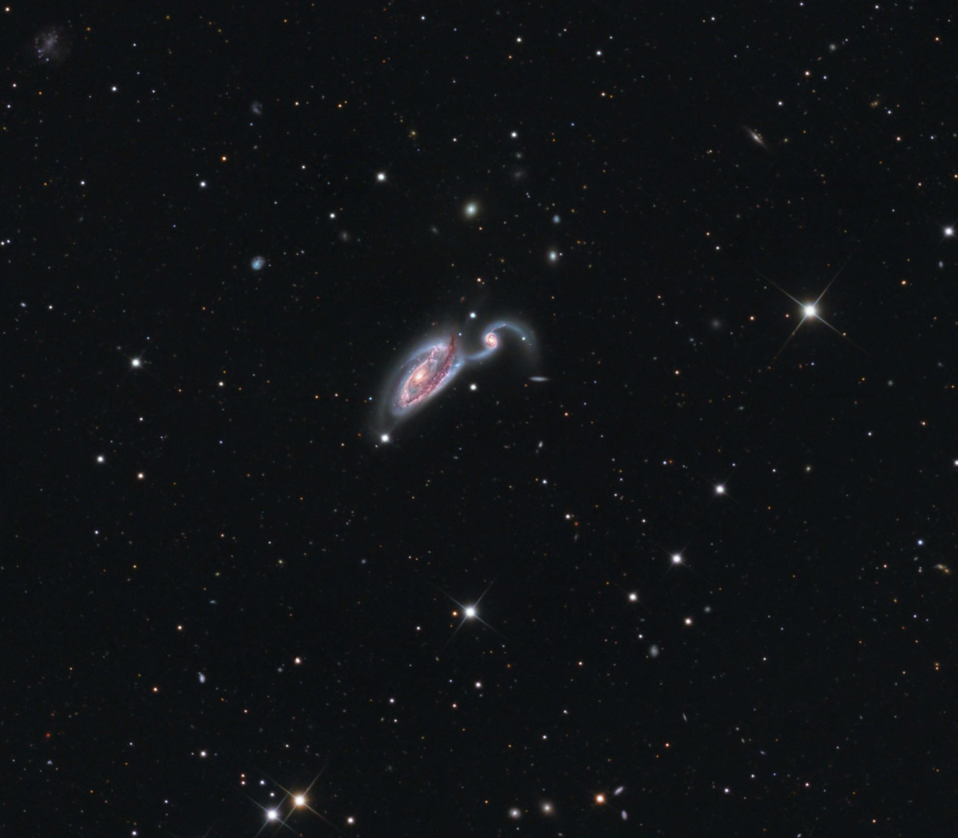Heron Galaxy Space 'Fish' in Night Sky Picture | Space