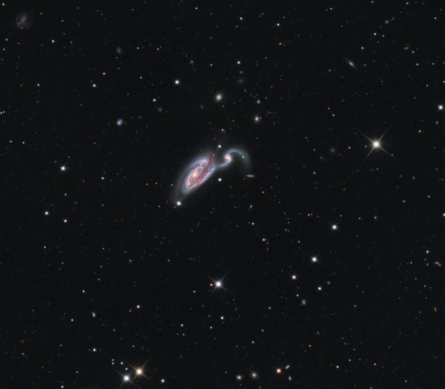 Heron Galaxy Space 'Fish' in Night Sky Picture | Space