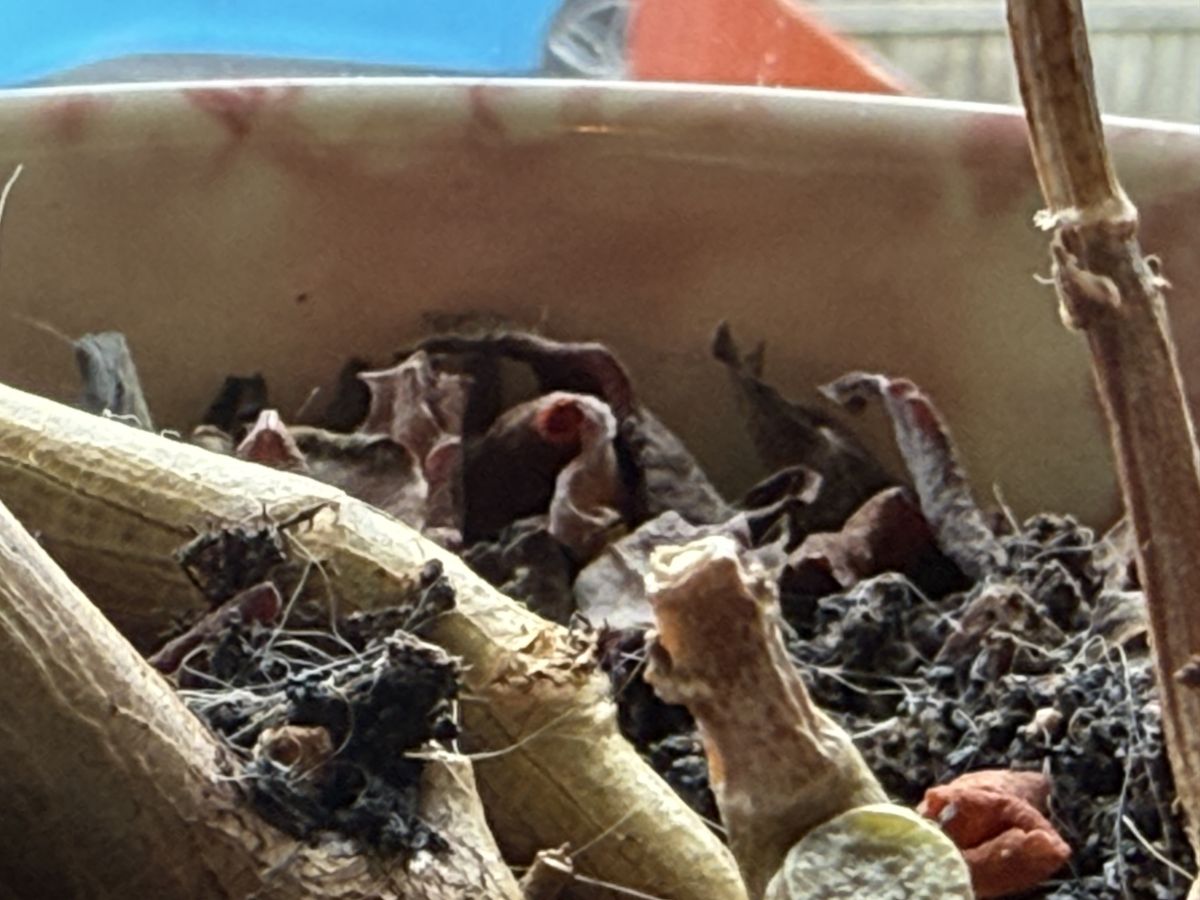 The iPhone Pro camera tips you need to know | Creative Bloq