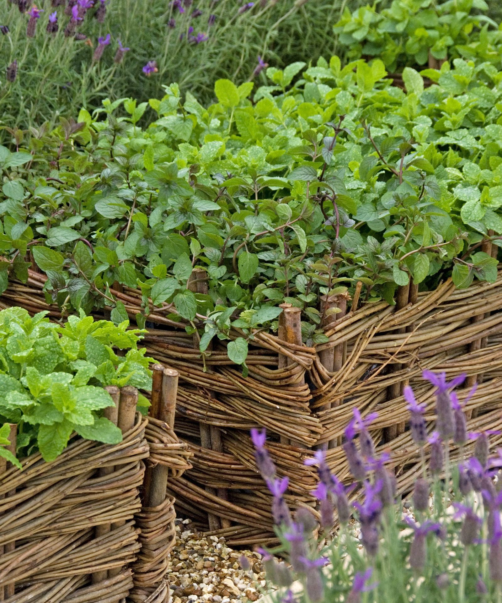 15 Herb Garden Planter Ideas – Grow An Aromatic Patio Feast | Gardening ...