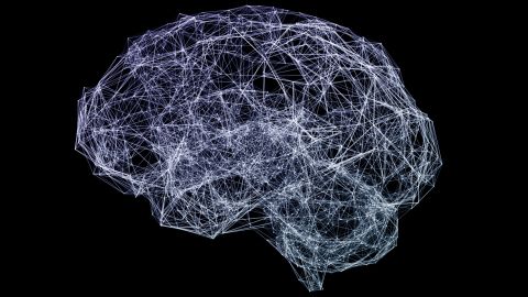 6 distinct forms of depression identified by AI in brain study | Live ...