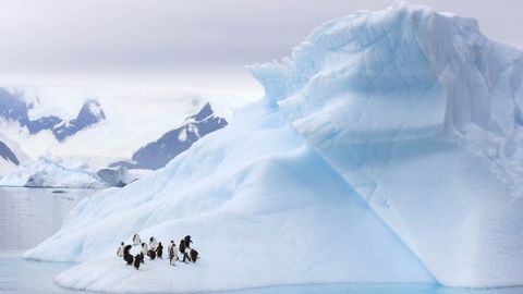 8 famous Antarctic expeditions | Live Science