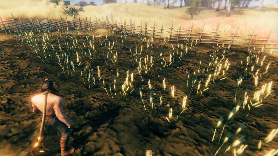 How to plant seeds in Valheim to grow food and trees | GamesRadar+