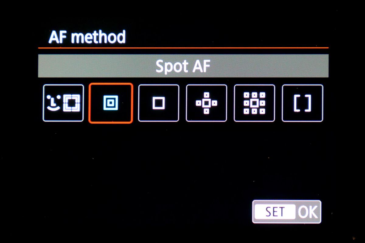 Banish blur and achieve razor sharp shots with your Canon camera ...