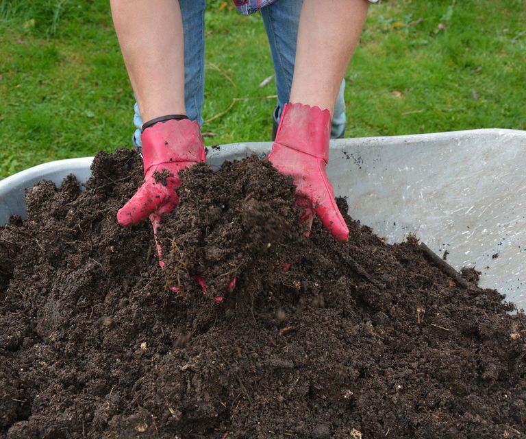 How to boost soil nutrients: 8 expert ways to do it | Homes and Gardens