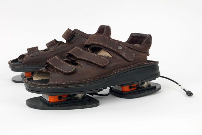 Rats in Spaaace! NASA Wants to Put Rodents on Space Station | Space