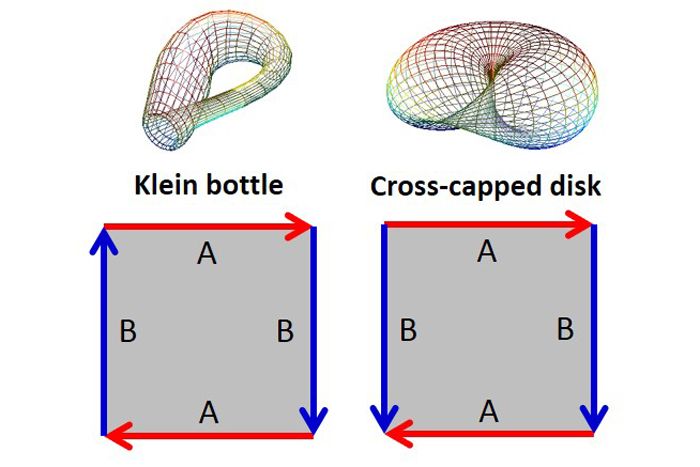 What Is Topology? | Live Science
