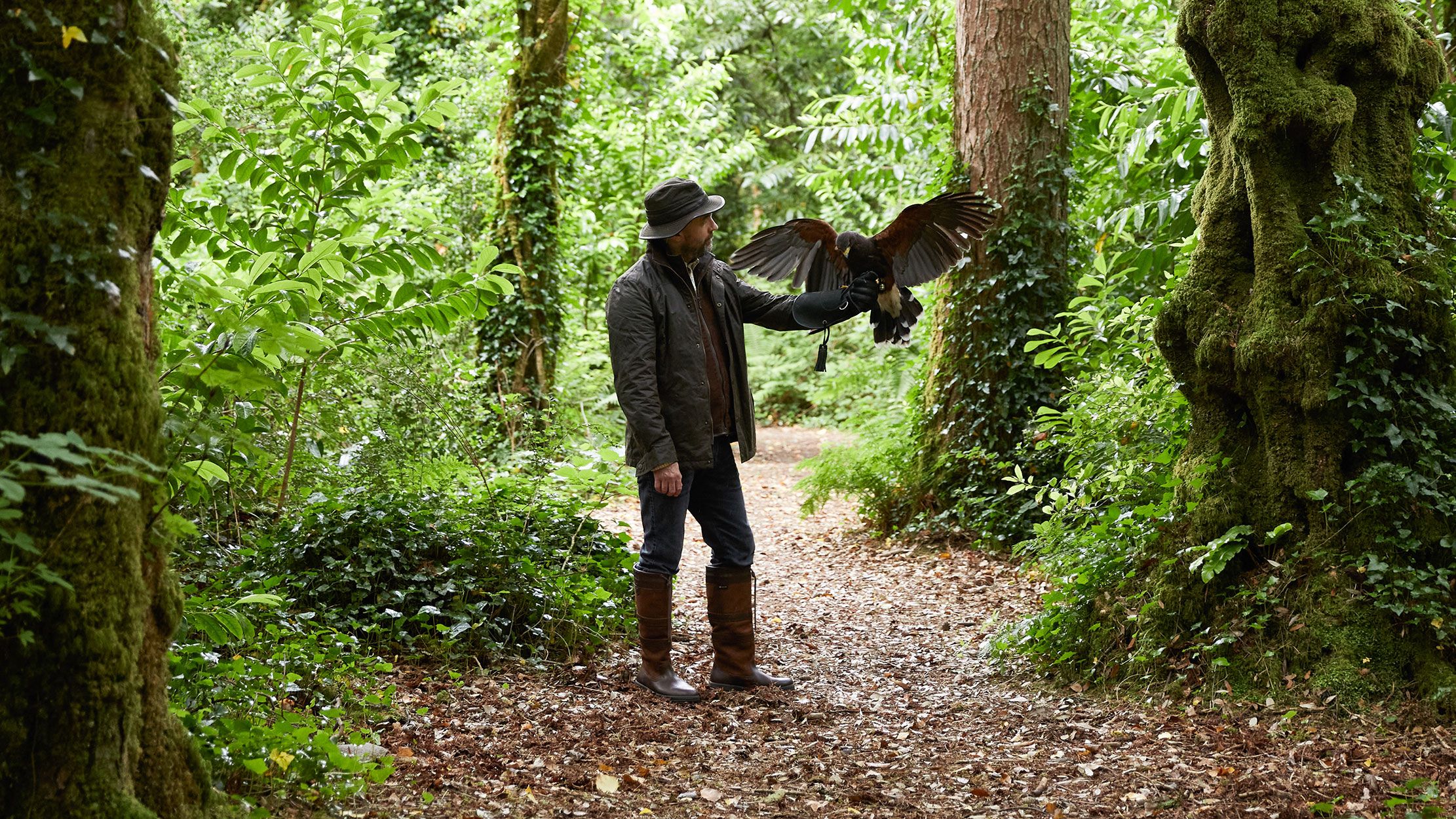 The Falconer's Tale: Tommy Durcan on how an ancient art lives on in ...