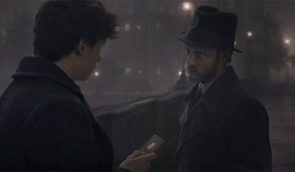 Newt Scamander's Backstory: What You Need To Know About The Fantastic ...
