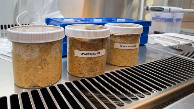 Space miso is nuttier than Earth miso — but it's still miso | Space