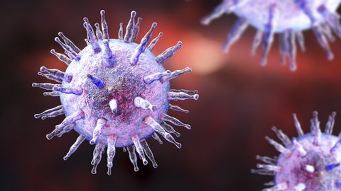 'Mono' virus turns on cancer-related genes. Here's how. | Live Science